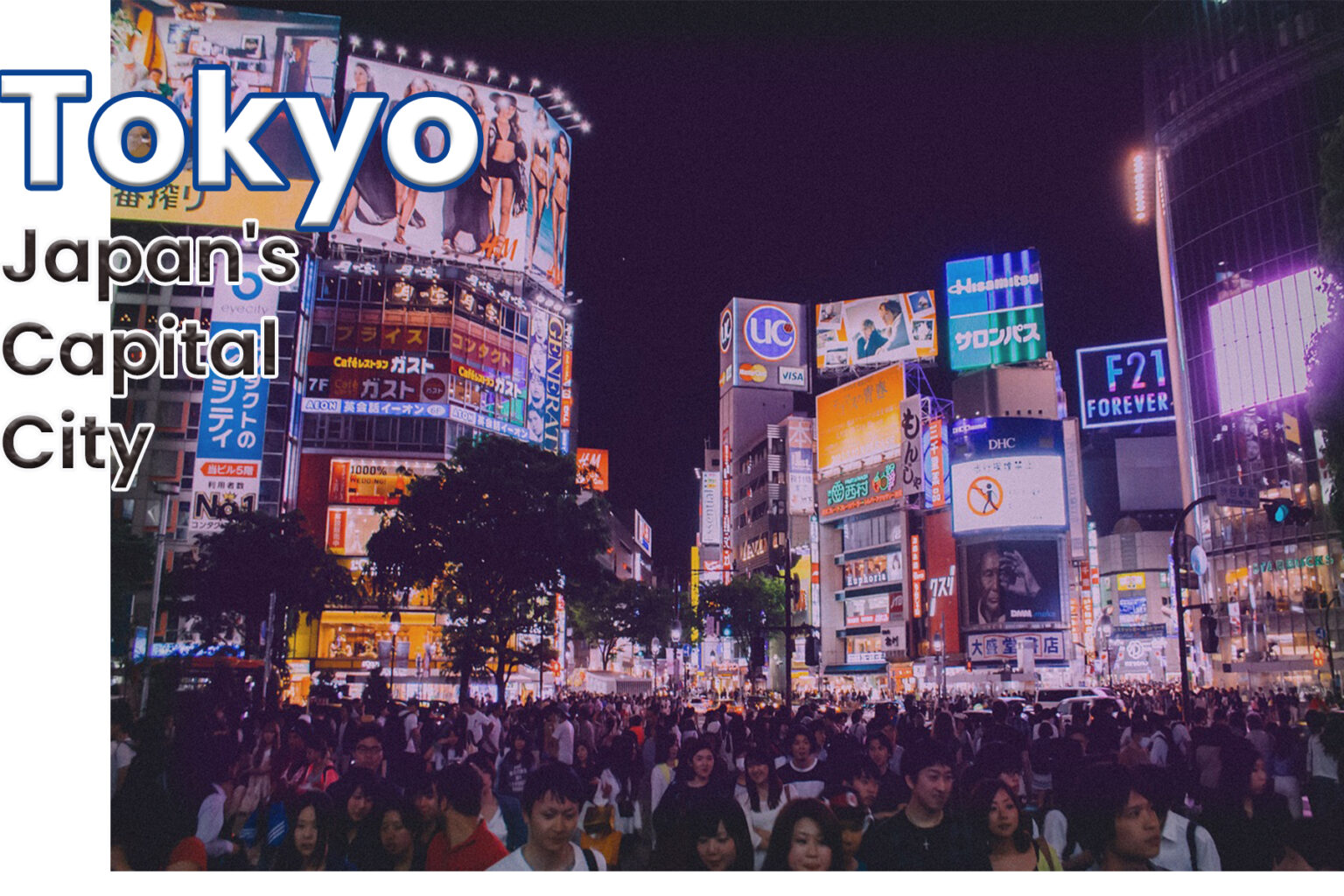Travel In Japan